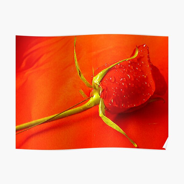 "*SEEING RED*" Poster by van049 | Redbubble