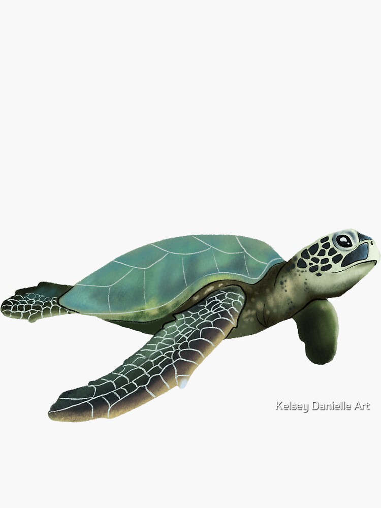 "Kemp’s Ridley Sea Turtle" Sticker for Sale by Kdanielleart | Redbubble