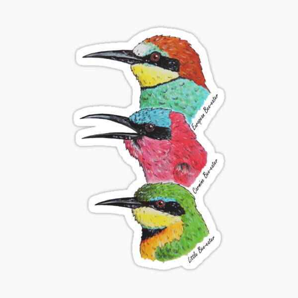 EmmaRoseBuck Shop | Redbubble