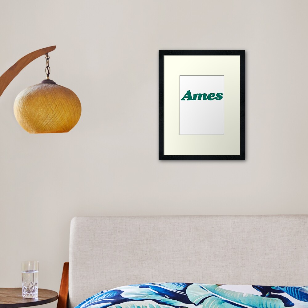 "Ames Department Store" Framed Art Print for Sale by jwongle26 | Redbubble