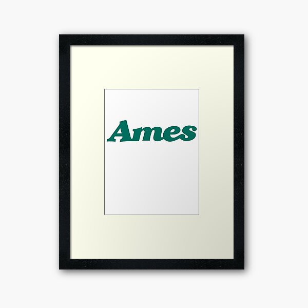"Ames Department Store" Framed Art Print for Sale by jwongle26 | Redbubble