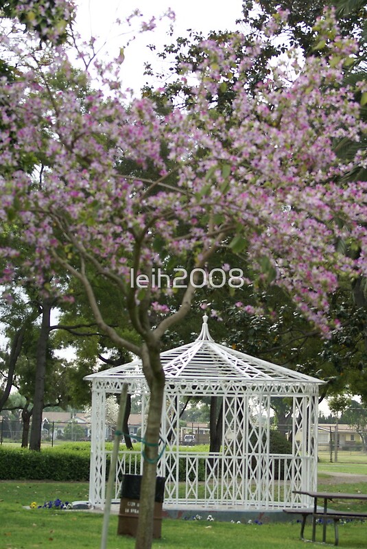 "Neff Park, La Mirada, CA USA In the spring. All Rights Reserved; Lei ...