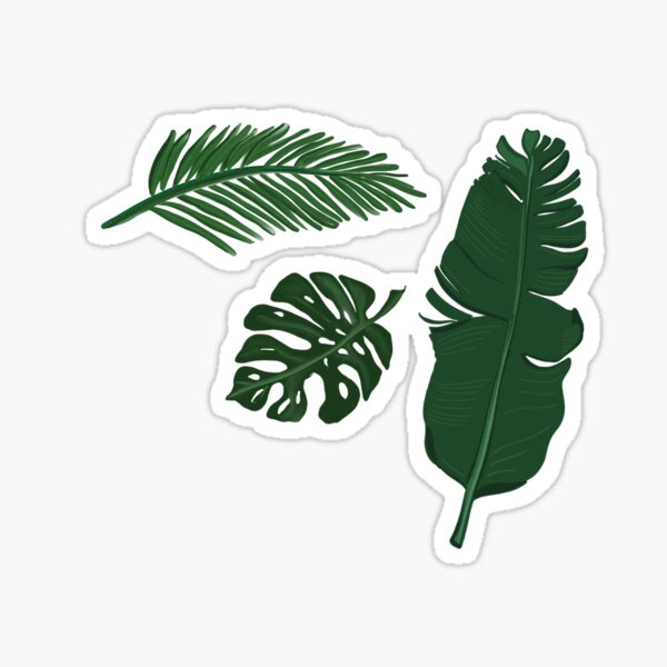 Dena Solazzo Shop | Redbubble