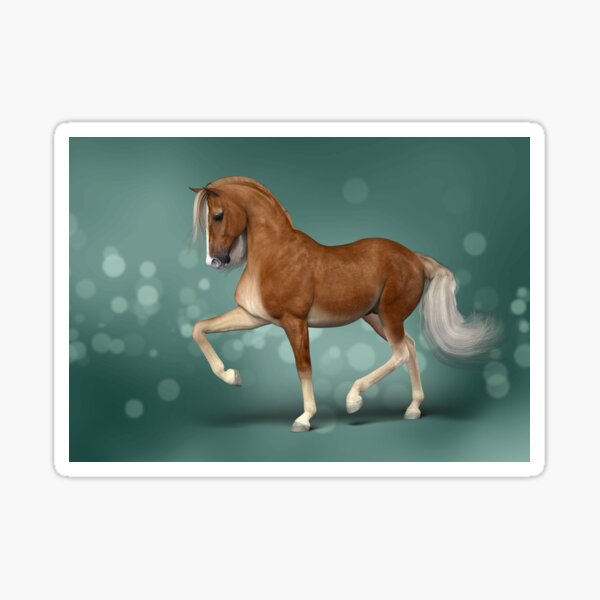 "Mealy Chestnut Horse" Sticker for Sale by Rae134 | Redbubble