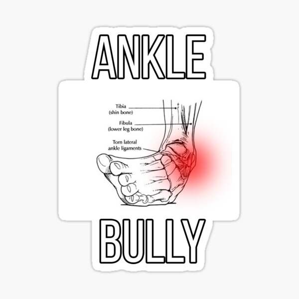 "Ankle Bully - Basketball Ankle Breaker" Sticker for Sale by 0rileyf0 ...
