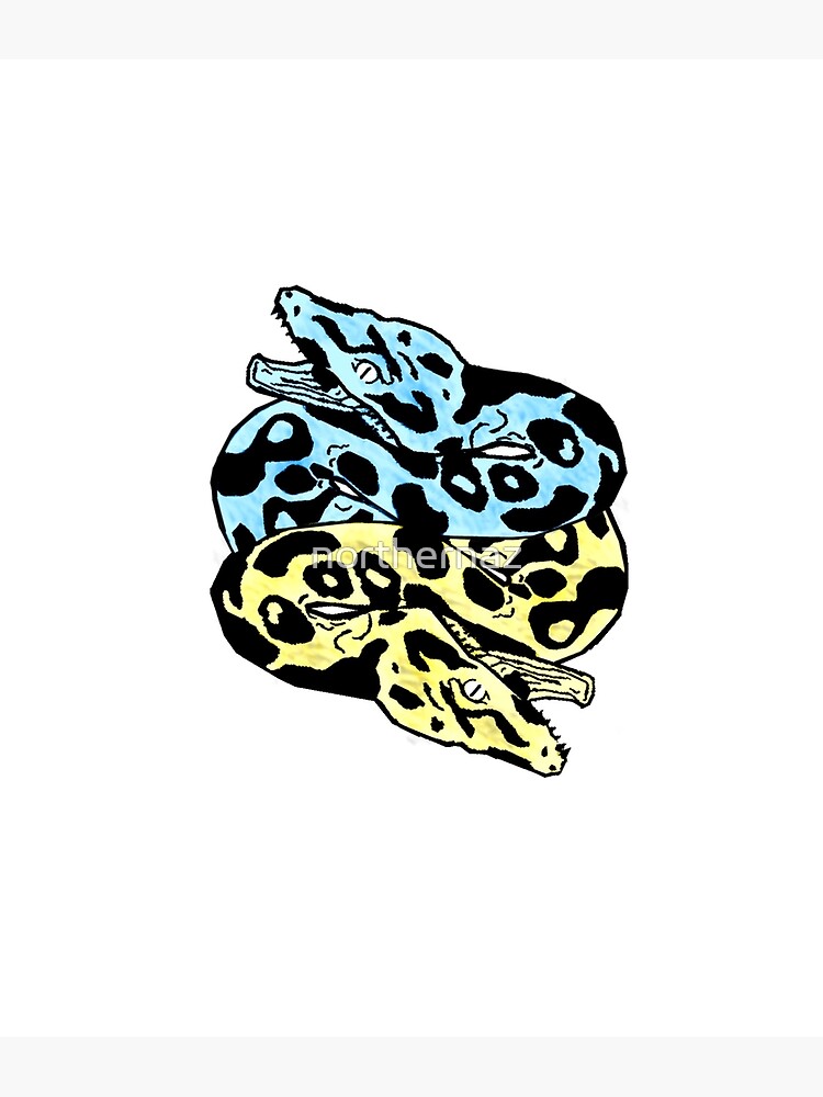 "Python Programming - Only Pythons" Poster by northernaz | Redbubble