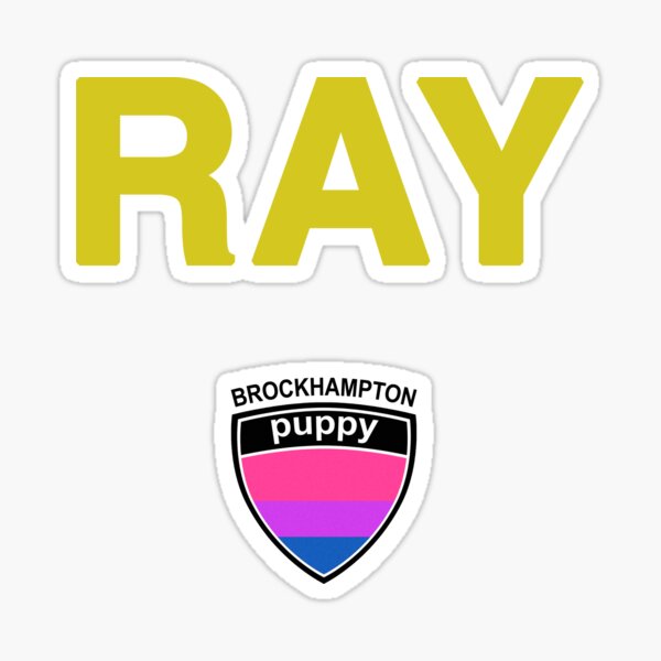 "Brockhampton RAY Shirt" Sticker for Sale by Ironic-Tees | Redbubble