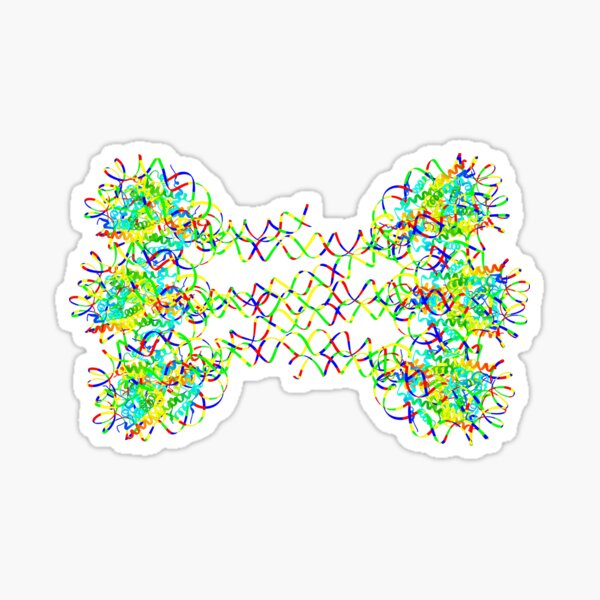 "Nucleosome Array" Sticker for Sale by 3D-Biology | Redbubble