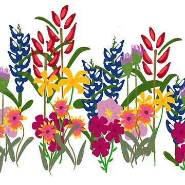 "Texas Wildflower Series - 2" Art Print for Sale by Nancycurb | Redbubble