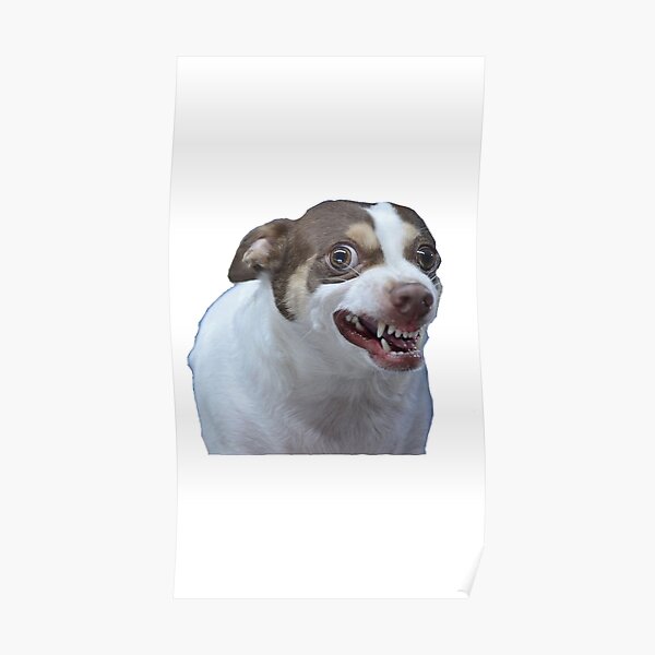 "mr bubz" Poster by dtscott19 | Redbubble