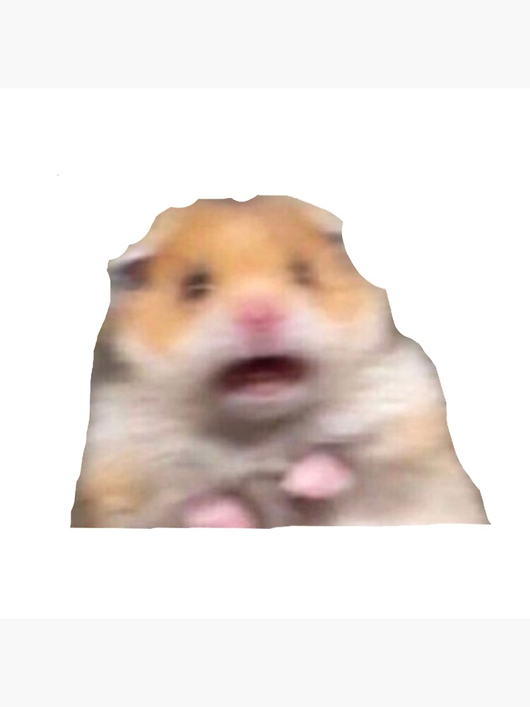 "hamster meme" Throw Pillow for Sale by dtscott19 | Redbubble