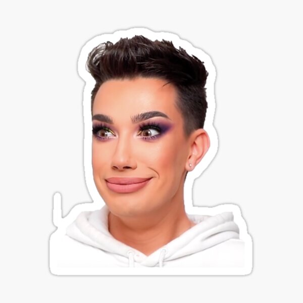 "James Charles Awkward Face" Sticker for Sale by bumblebre1544 | Redbubble