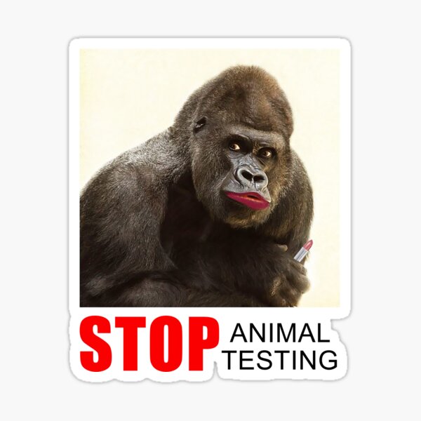 "stop animal testing" Sticker for Sale by DAN13L | Redbubble