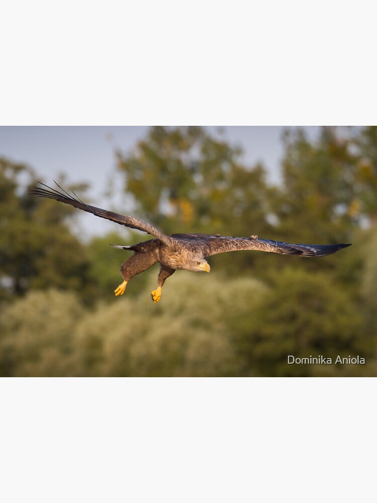 "Incoming! " Sticker for Sale by domcia | Redbubble