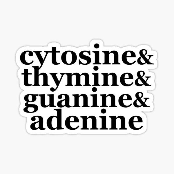 "DNA Nucleobases - cytosine - thymine - guanine - adenine" Sticker by ...