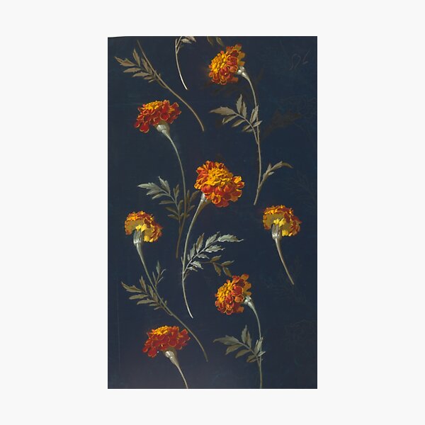 "Vintage Marigolds" Photographic Print for Sale by bluespecsstudio ...