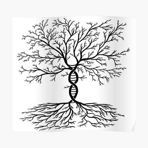 "Double helix tree" Poster for Sale by Cold-Helix | Redbubble
