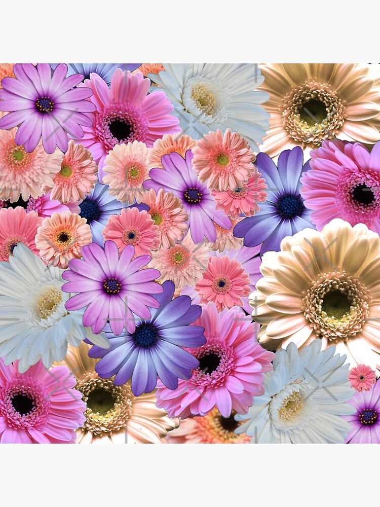 "Gerbera Daisy Flower Collage" Poster for Sale by SandersApparel ...
