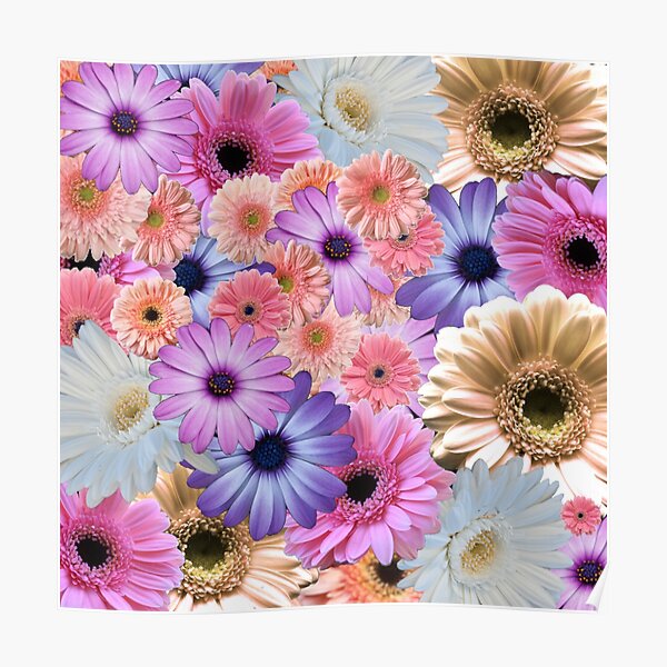 "Gerbera Daisy Flower Collage" Poster for Sale by SandersApparel ...