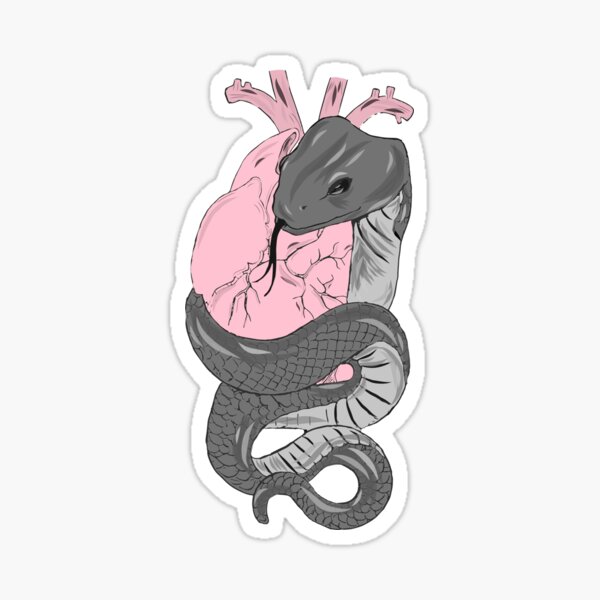 "Snake wrapped around heart " Sticker for Sale by mxrgxn | Redbubble