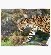 Predator: Posters | Redbubble