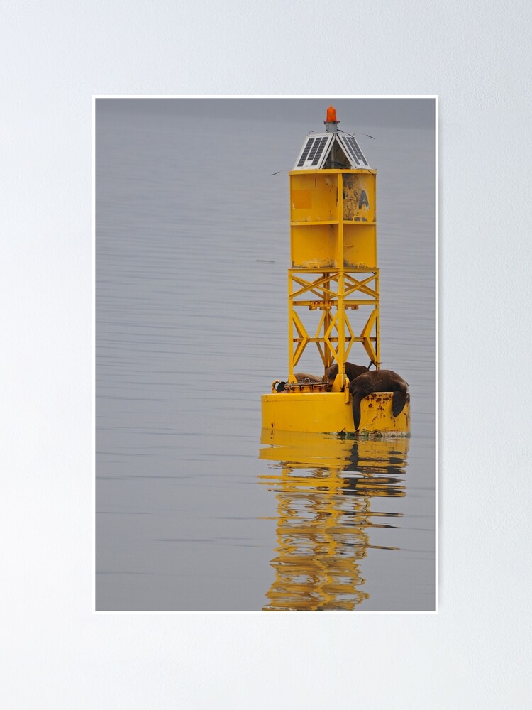 "Harbor Seals enjoying a Rest on the Buoy" Poster for Sale by ...