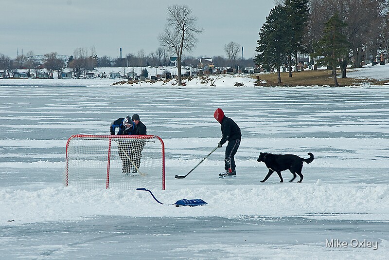 "Shinney!" by Mike Oxley | Redbubble