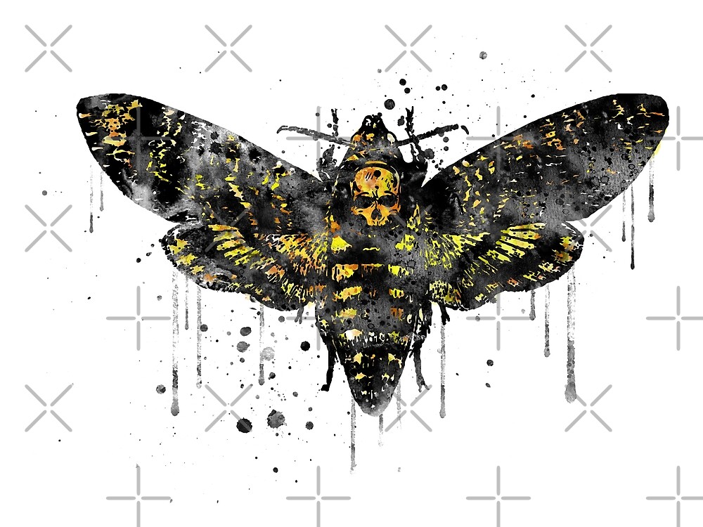 "Deaths Head Hawk Moth" by Rosaliartbook | Redbubble