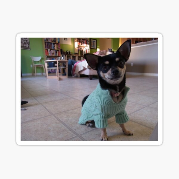 "Dog " Sticker for Sale by iexploretheuniv | Redbubble