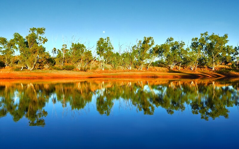 "Outback Dam Morning" by Lexa Harpell | Redbubble