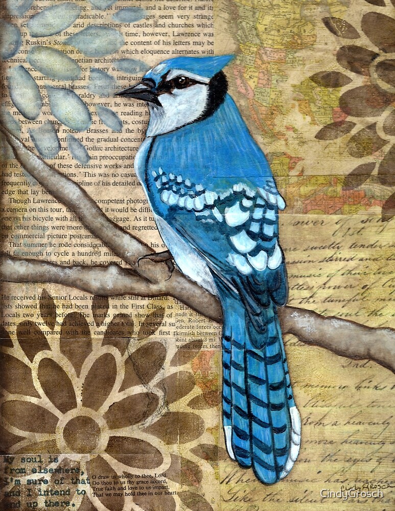 "Blue Jay on mixed media vintage papers" by CindyGrosch | Redbubble