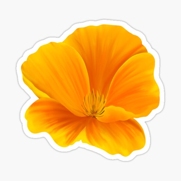 Poppy Stickers | Redbubble