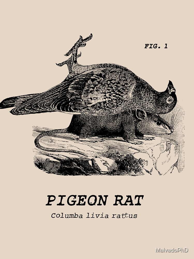 "The almighty Pigeon Rat" T-shirt for Sale by MalvadoPhD | Redbubble ...
