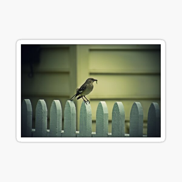 "Early Bird" Sticker for Sale by HecateBast | Redbubble
