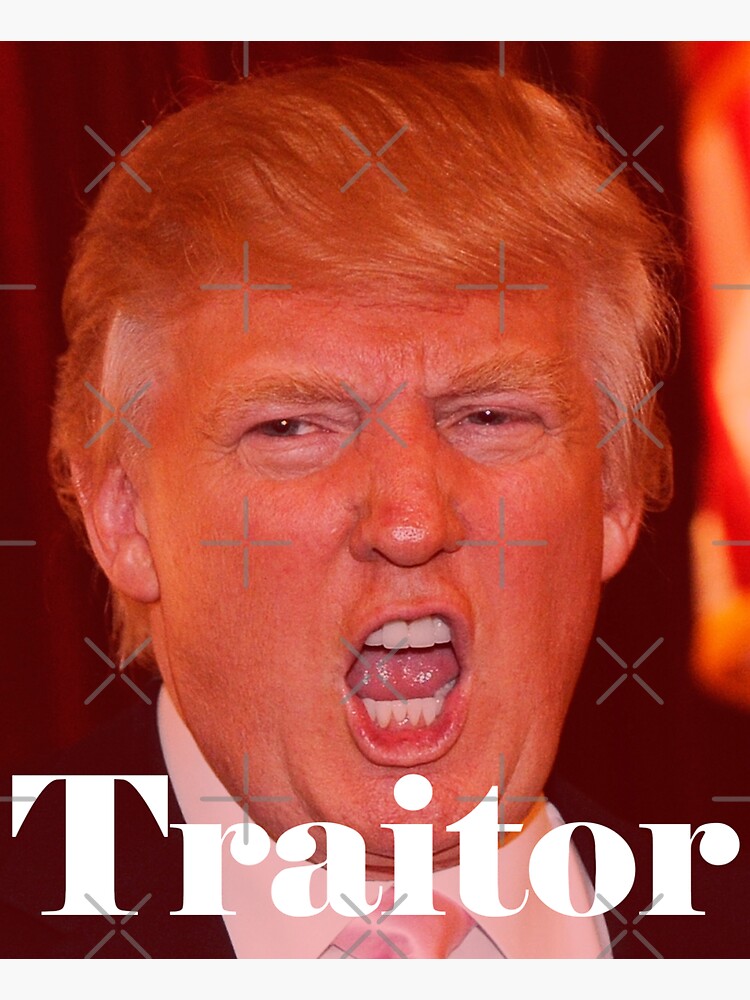 "Trump the Traitor" Sticker for Sale by ToyoTees | Redbubble