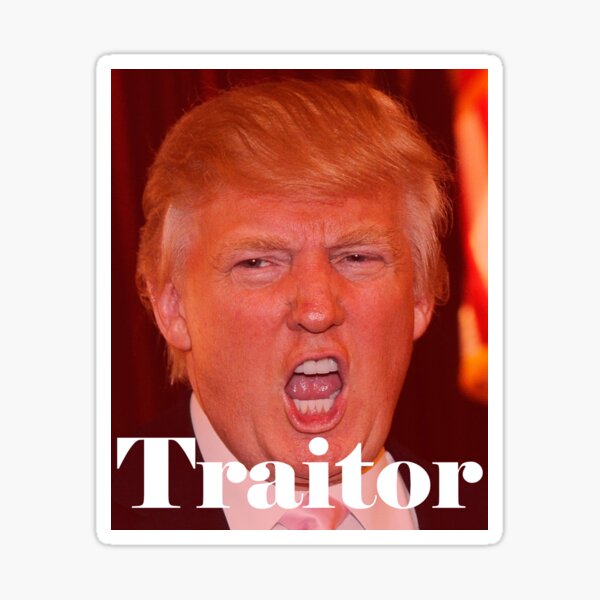 "Trump the Traitor" Sticker for Sale by ToyoTees | Redbubble