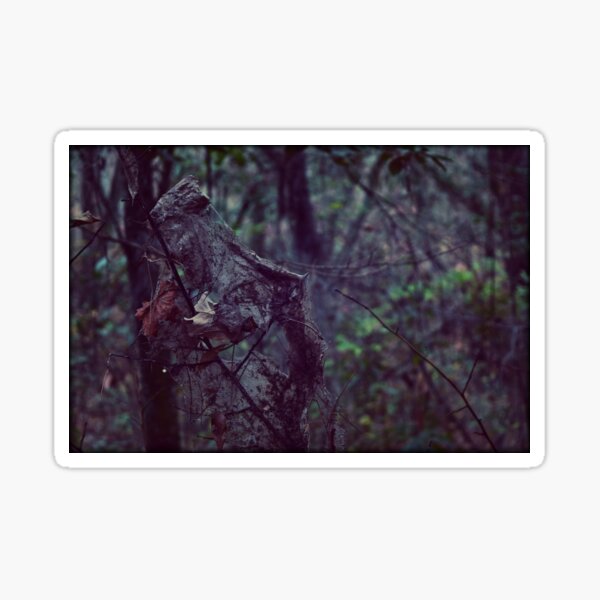 "Caught" Sticker by HecateBast | Redbubble