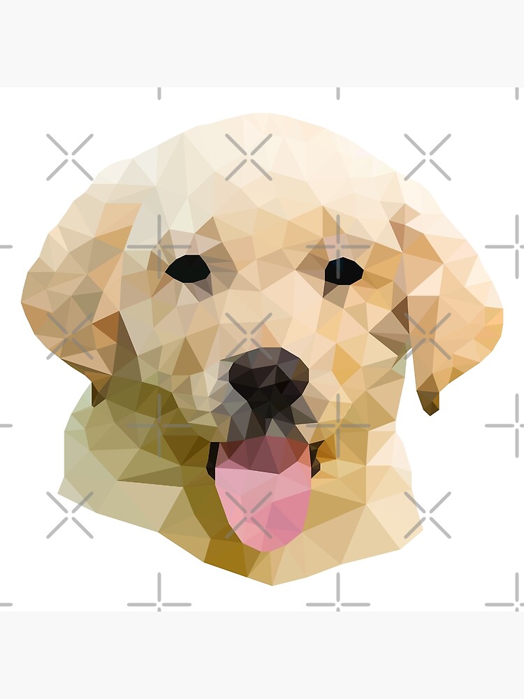 "Cute Adorable Low Poly Labrador" Poster for Sale by DesignsByDB ...