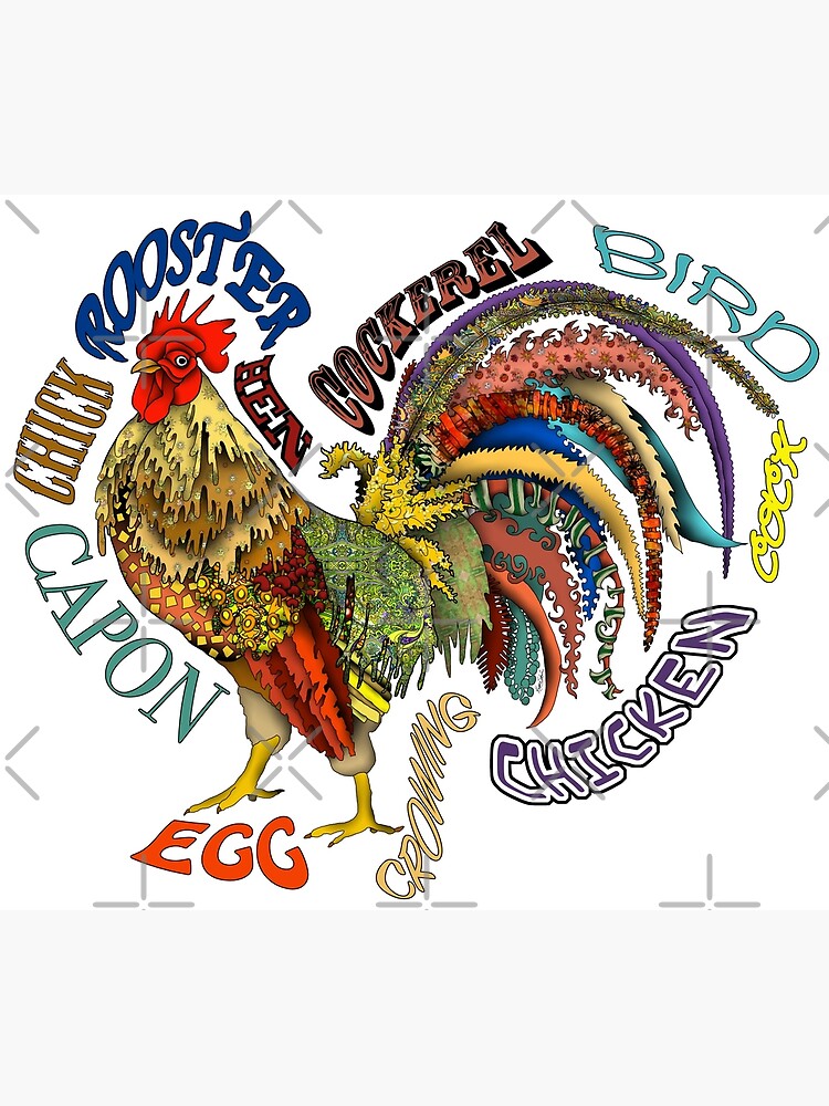 "Rooster! Rooster!" Poster for Sale by kamkam19 | Redbubble