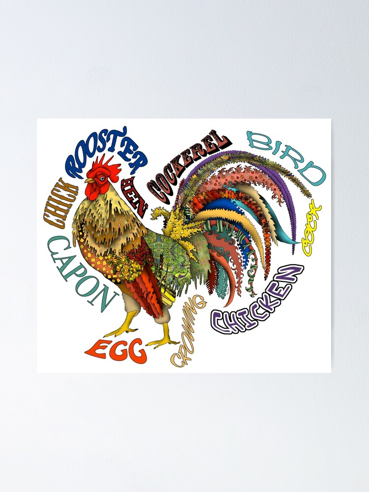 "Rooster! Rooster!" Poster for Sale by kamkam19 | Redbubble