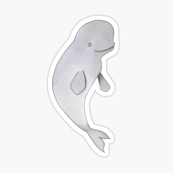 "Whale Whale Whale... it's a Beluga Whale" Sticker for Sale by ...