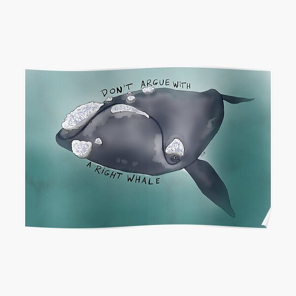 "Don't argue with a right whale" Poster for Sale by BaggageClam | Redbubble