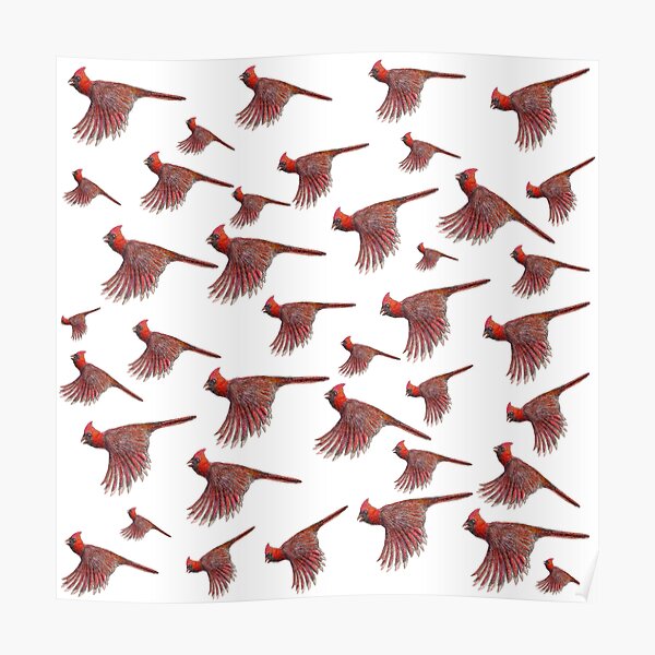 "Northern Cardinal Flock Swatch" Poster by PixlPixi | Redbubble