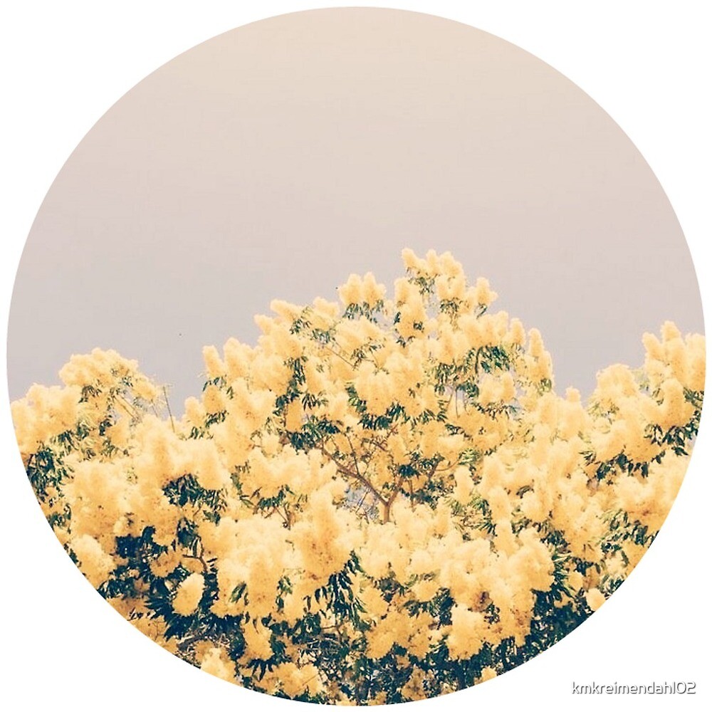 "Aesthetic flower circle design" by kmkreimendahl02 | Redbubble