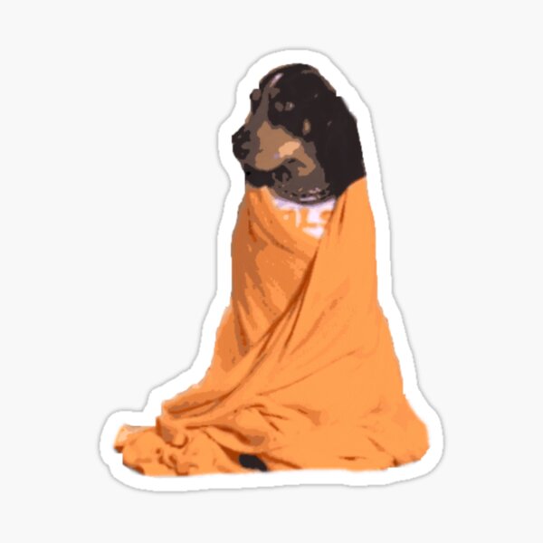 Ut Stickers | Redbubble