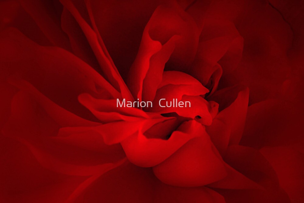 "Seduction" by Marion Cullen | Redbubble