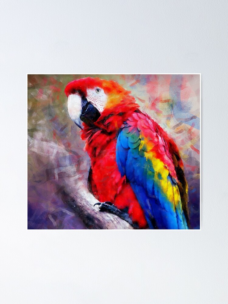 "Colorful Parrot" Poster by ErianAndre | Redbubble