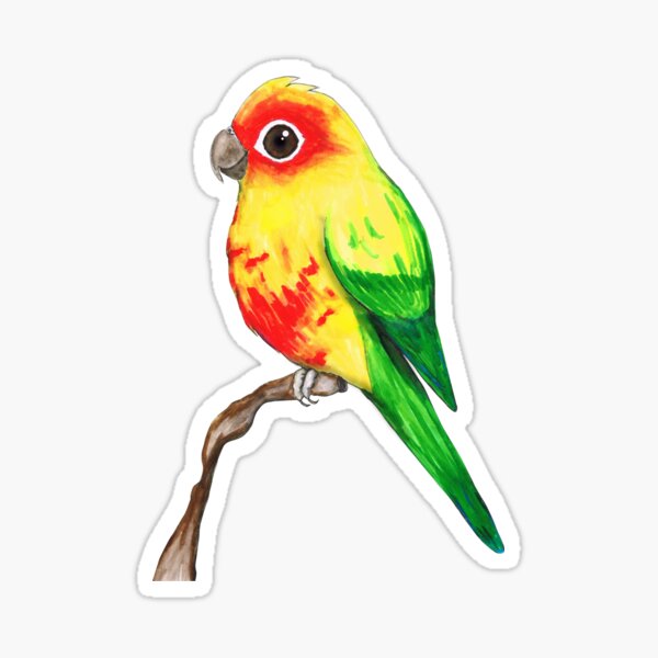 "Cute sun conure" Sticker for Sale by Bwiselizzy | Redbubble