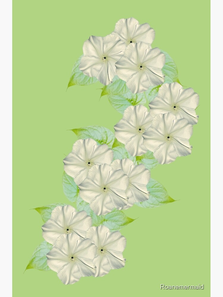 "Moonflower Garden" Canvas Print for Sale by Roanemermaid | Redbubble