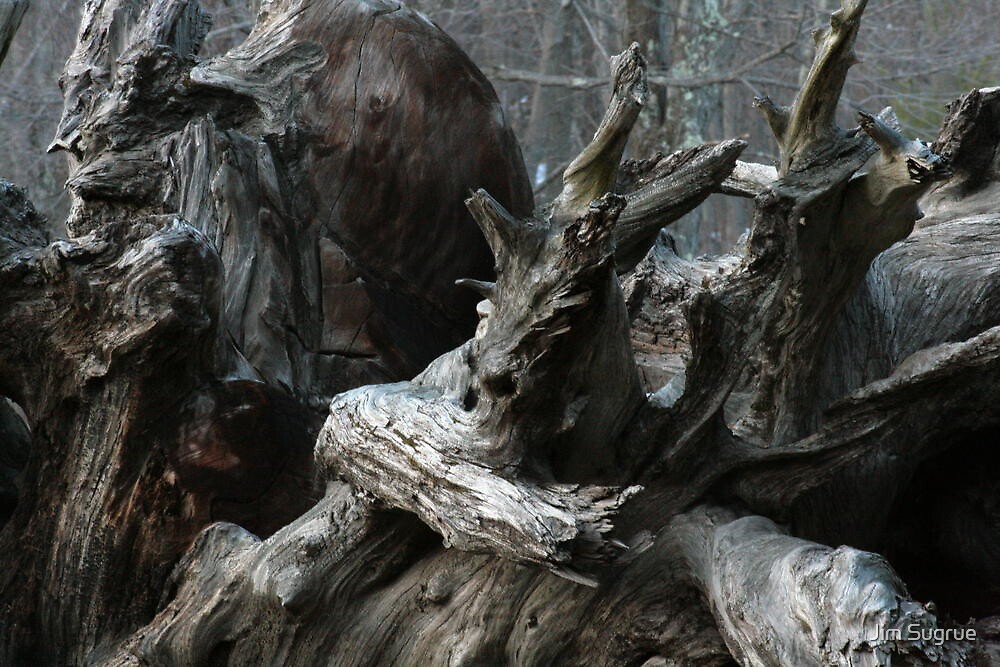 "Evil Tree Spirit " by Jim Sugrue | Redbubble